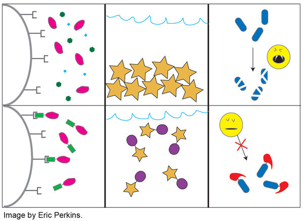 Plasmids 101: Protein tags