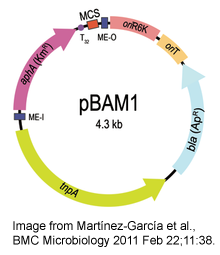 22 Hot Plasmid Technologies from 2014