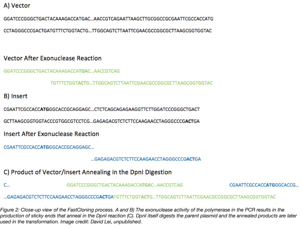 FastCloning: A Newer, Simpler Cloning Technique