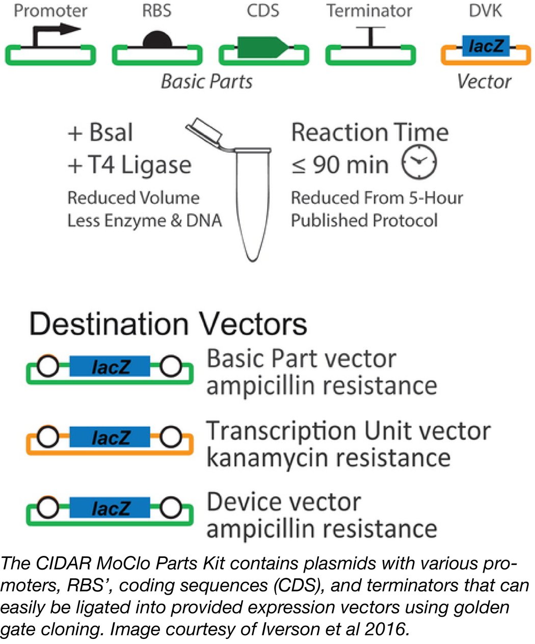27 Hot Plasmids from 2016