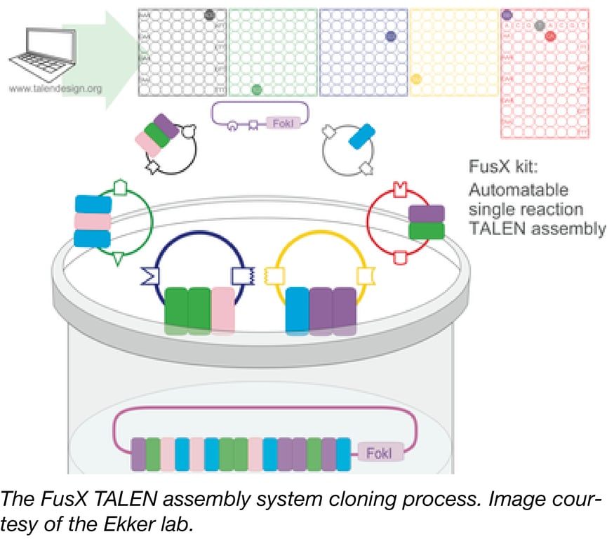 27 Hot Plasmids from 2016