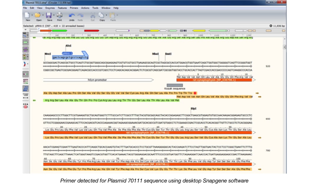 Plasmids 101: Walkthrough of Addgene’s Snapgene-Powered Quality Control ...
