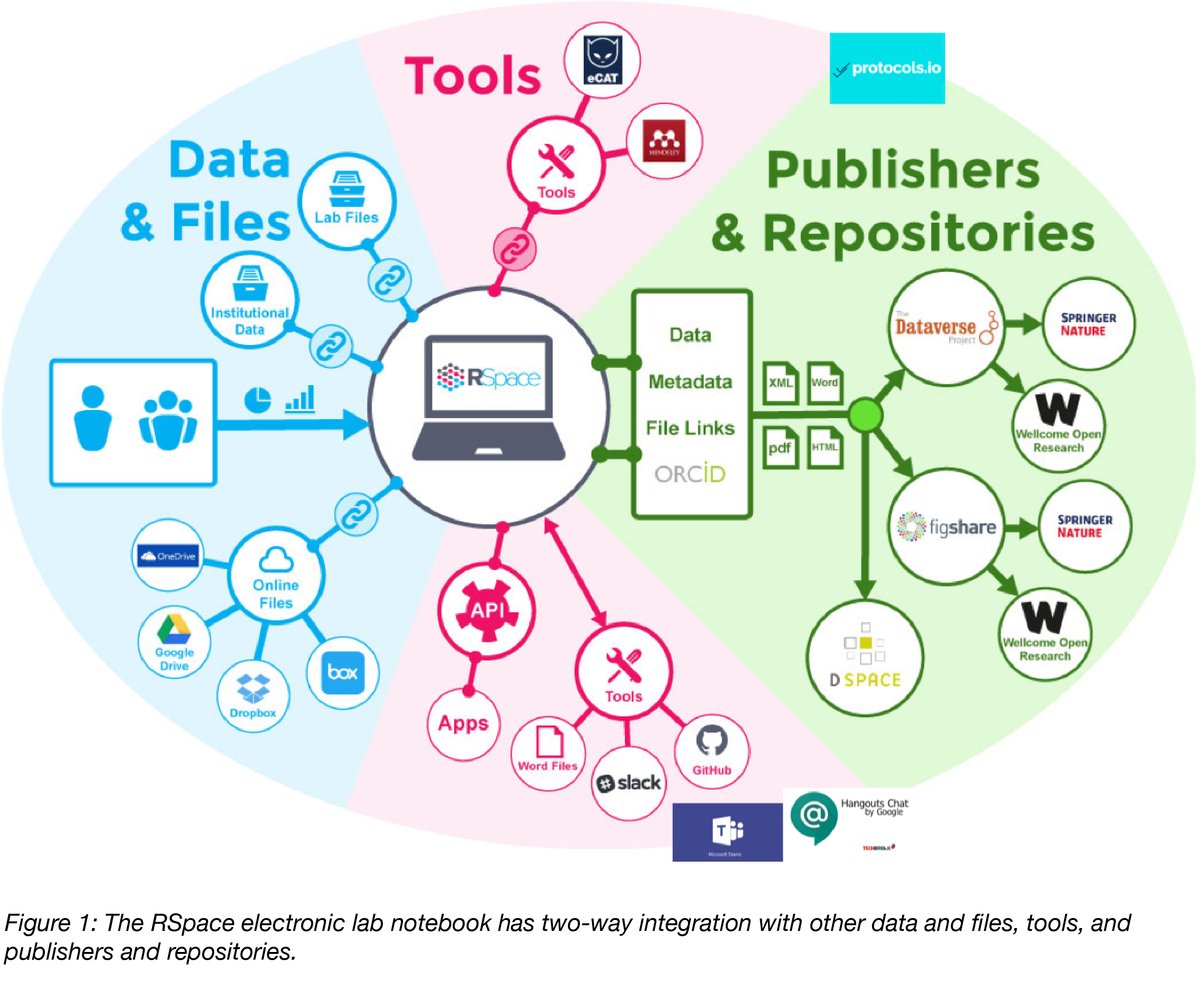 Supporting Reproducibility with a Connected ELN