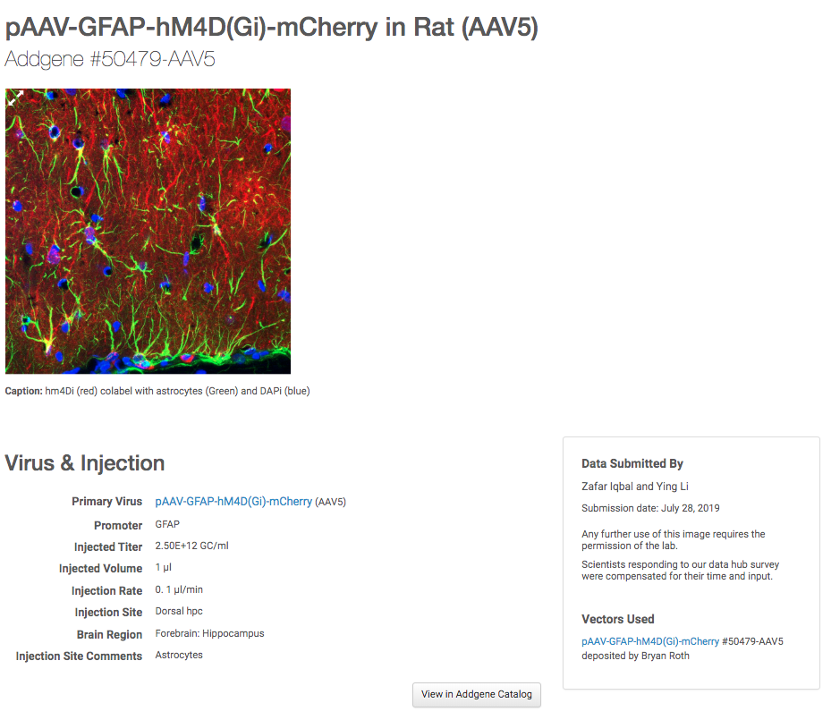 Find and Share AAV Data with Addgene's New AAV Data Hub