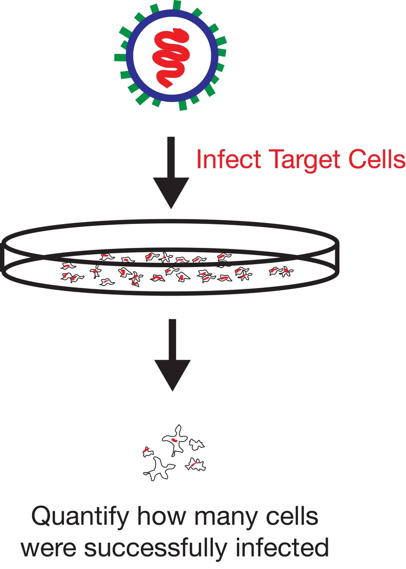 Tips for Titering Your Lentiviral Preps