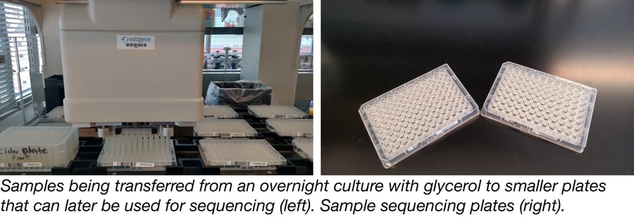 Addgene's Tips for Plasmid Quality Control
