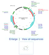 Anatomy of a Plasmid Page at Addgene