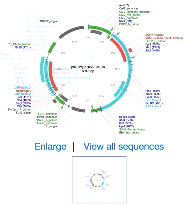 Anatomy of a Plasmid Page at Addgene
