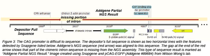 Plasmids 101: In-house NGS Plasmid Quality Control Now at Addgene Plasmids 101: In-house NGS Plasmid Quality Control Now at Addgene