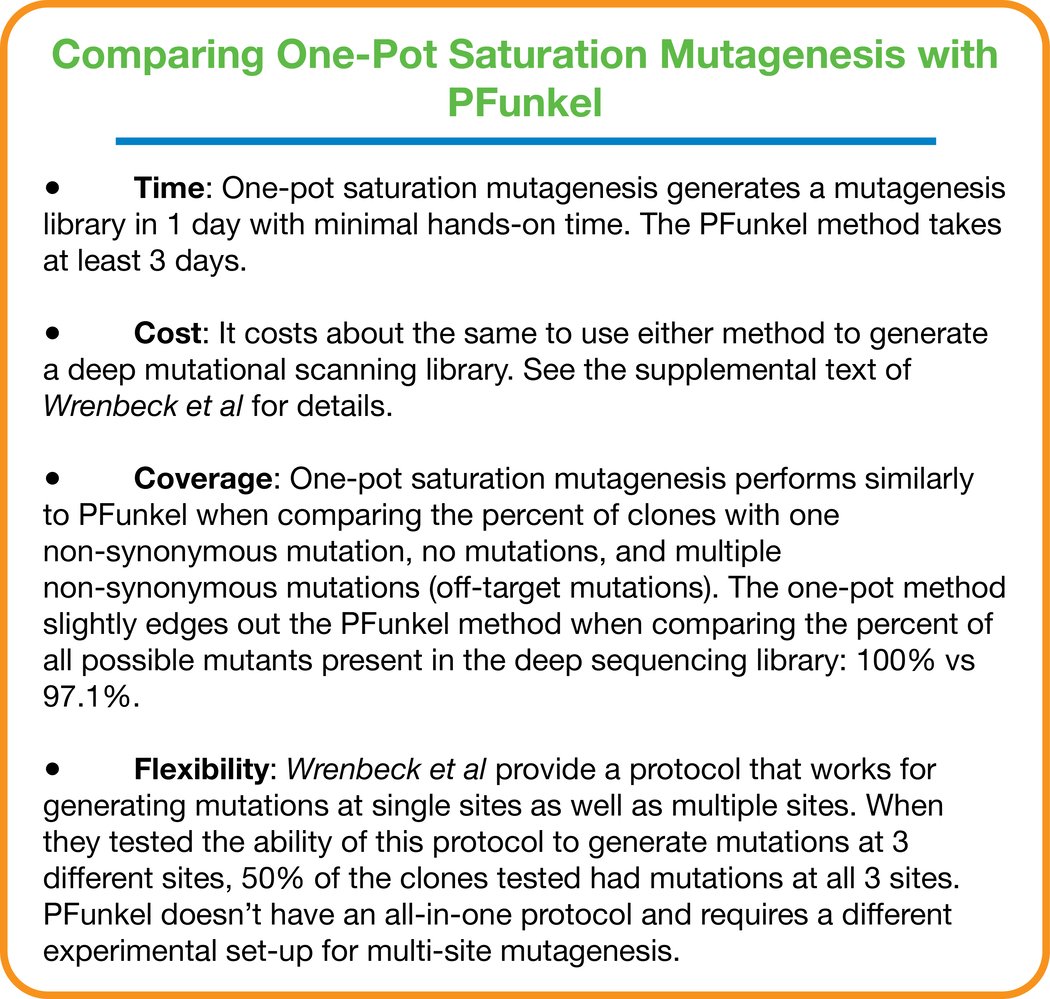 Deep Mutational Scanning with One Pot Saturation Mutagenesis