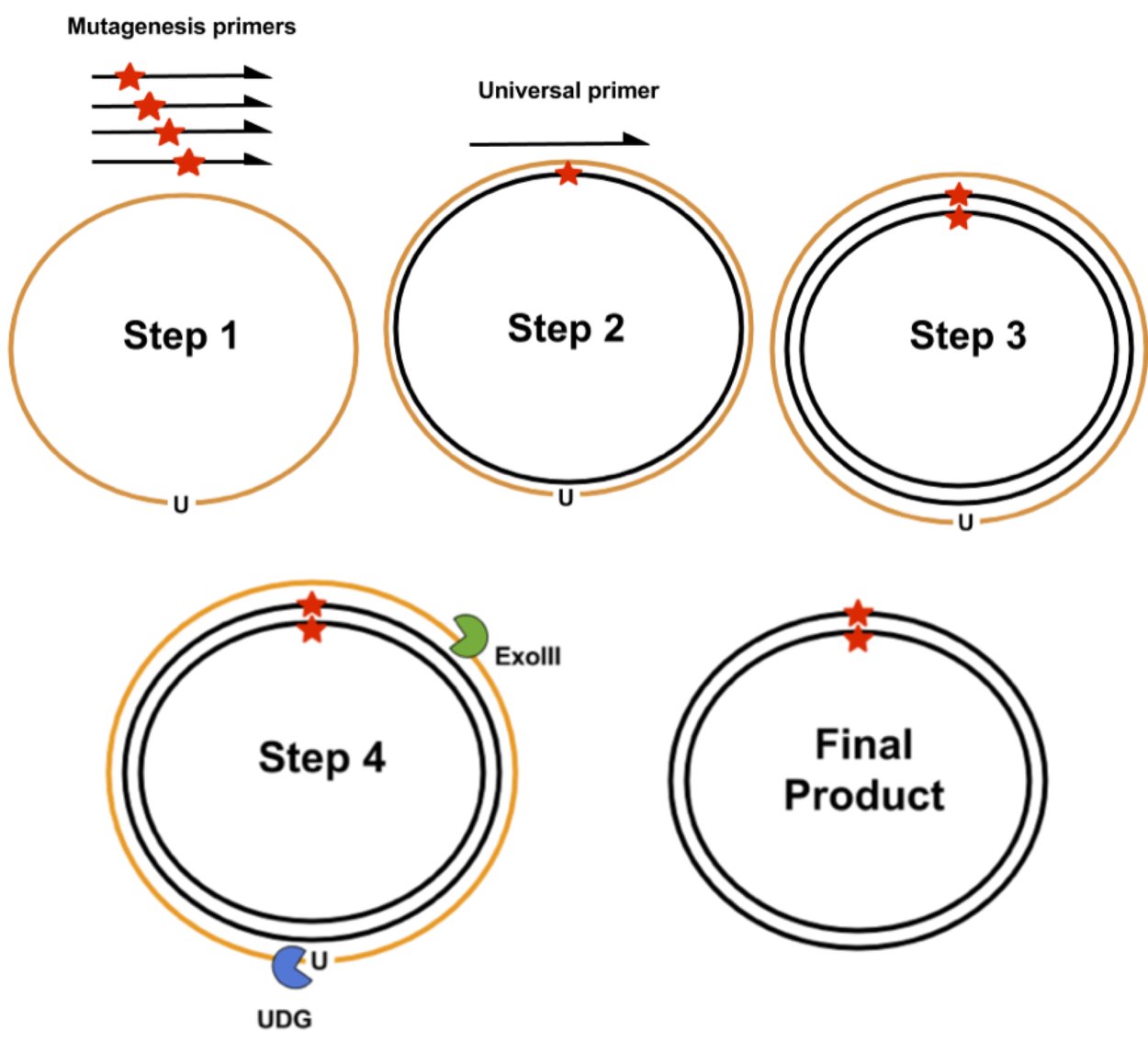 Deep Mutational Scanning with One Pot Saturation Mutagenesis