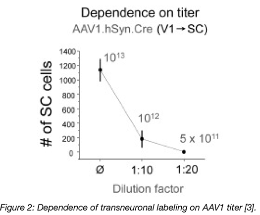 The Importance of High Titer for AAV Transductions