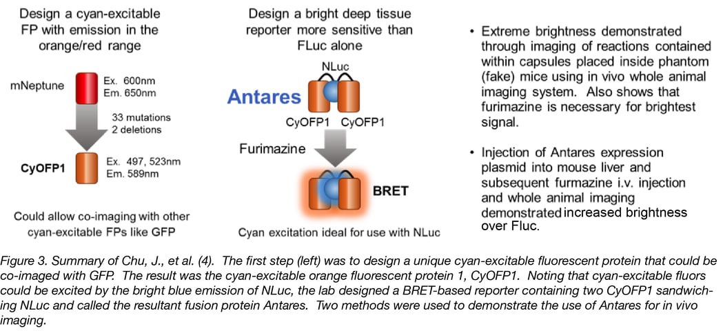 Technologies Enabled by NanoLuc® Luciferase