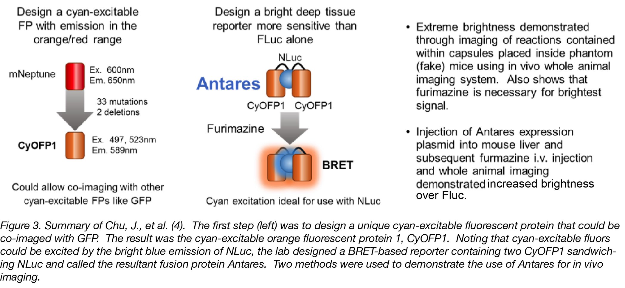 Technologies Enabled by NanoLuc® Luciferase