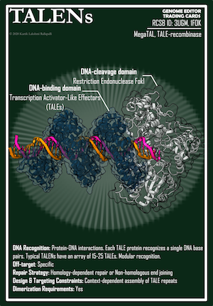 A History of Genome Engineering in Popular Culture