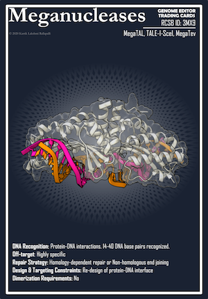 A History of Genome Engineering in Popular Culture