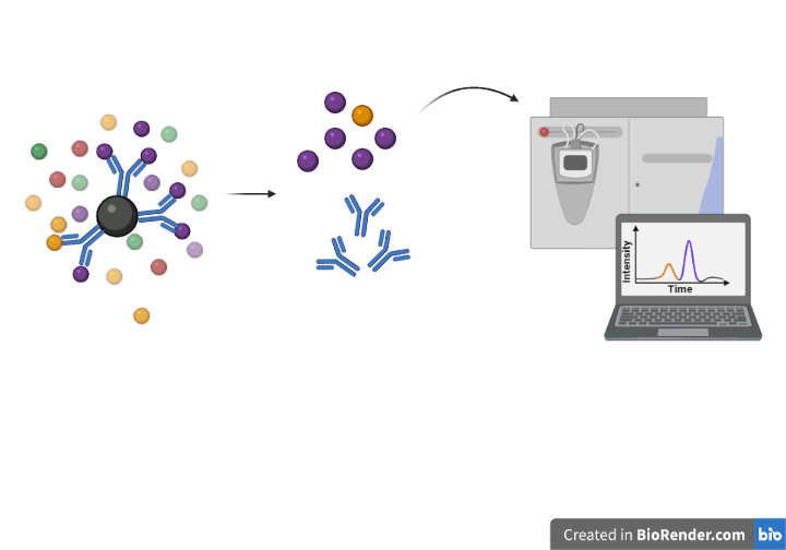Antibodies 101: Validation