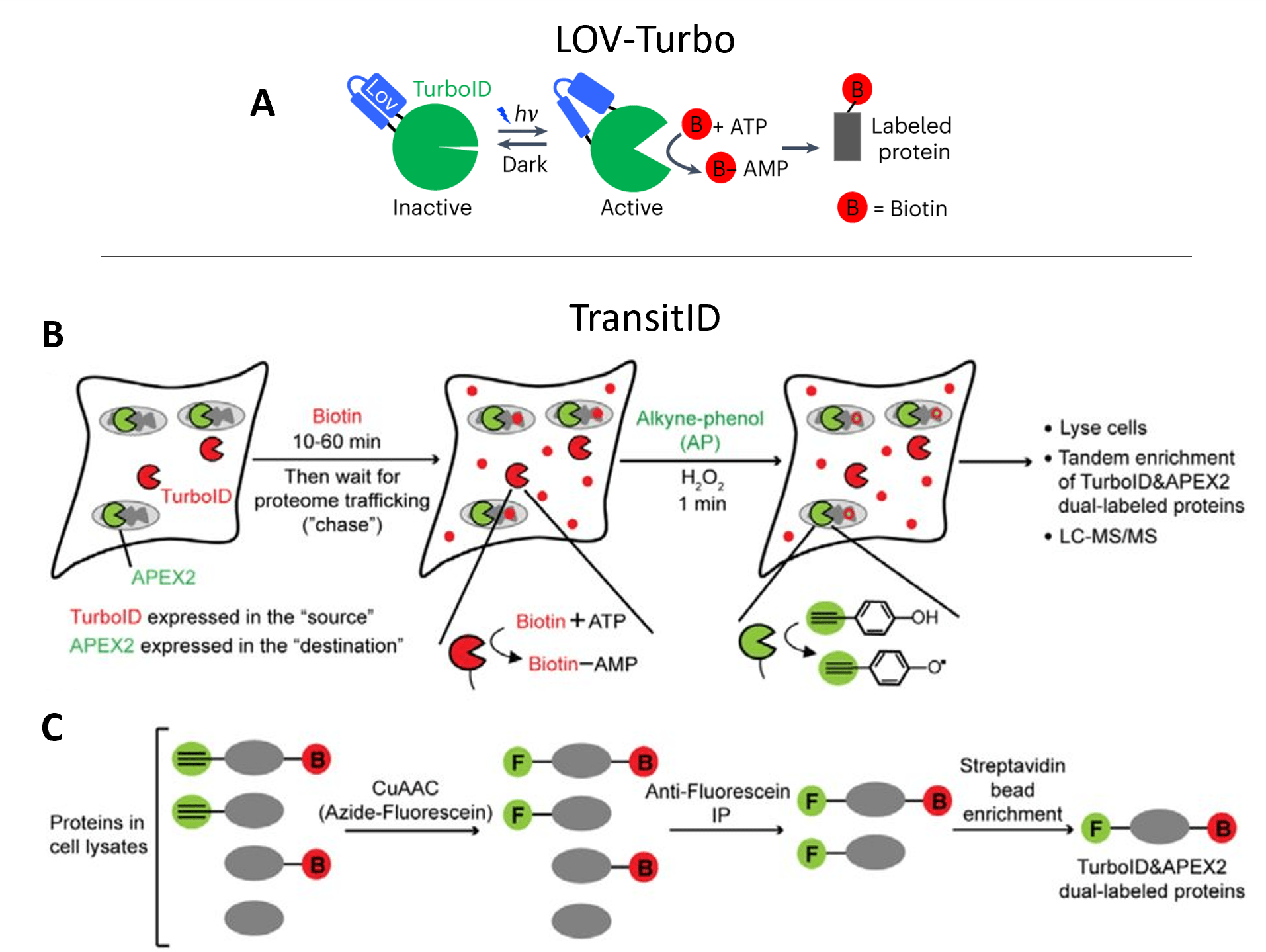Hot Plasmids - November 2023