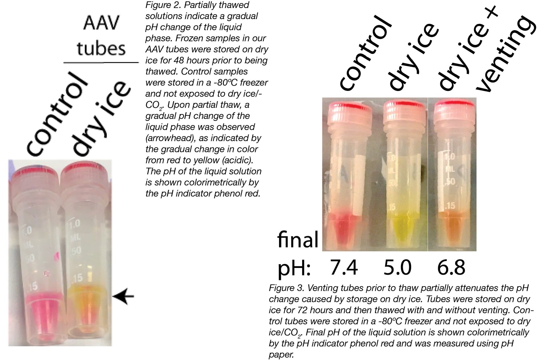 How Dry Ice Affects Viral Vector Sample pH & How to Avoid It