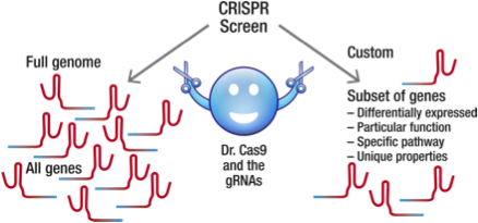 Custom CRISPR Screens & the Green Listed Software