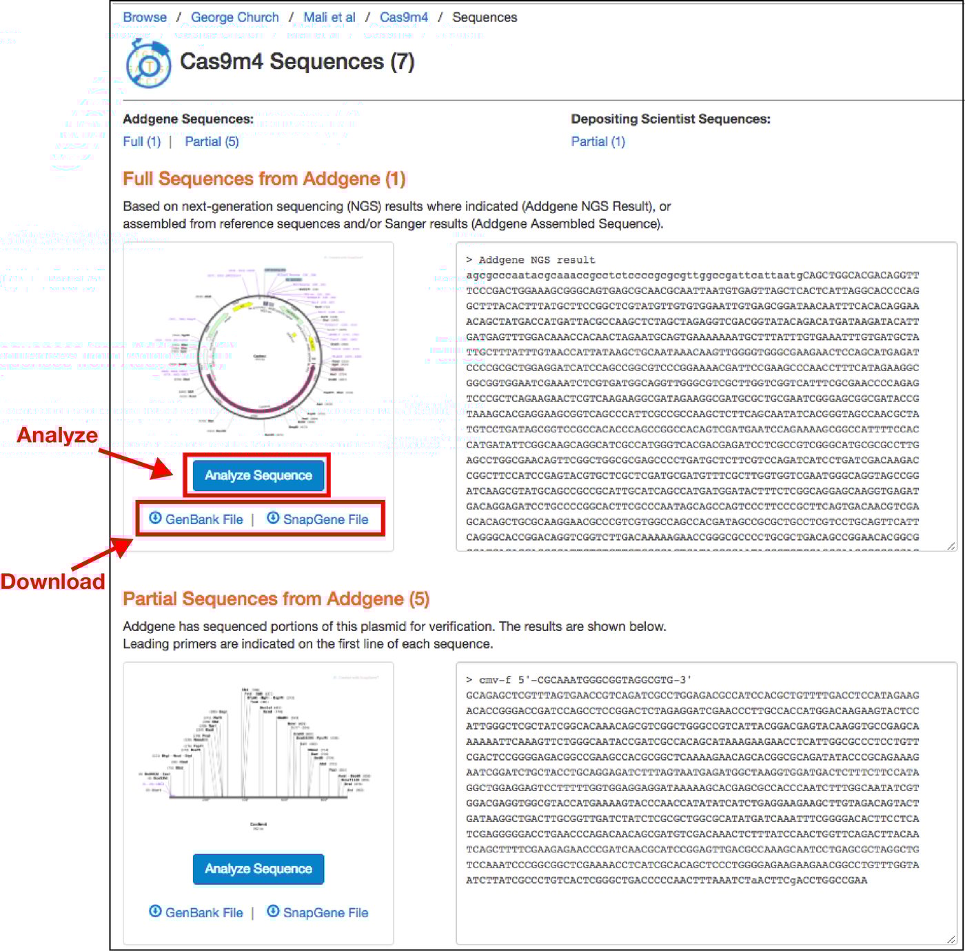 Improved Plasmid Maps Powered by SnapGene