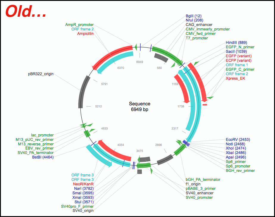 Improved Plasmid Maps Powered by SnapGene