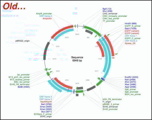 Improved Plasmid Maps Powered by SnapGene