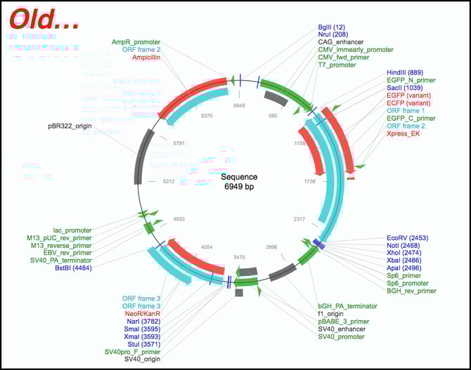 Improved Plasmid Maps Powered by SnapGene
