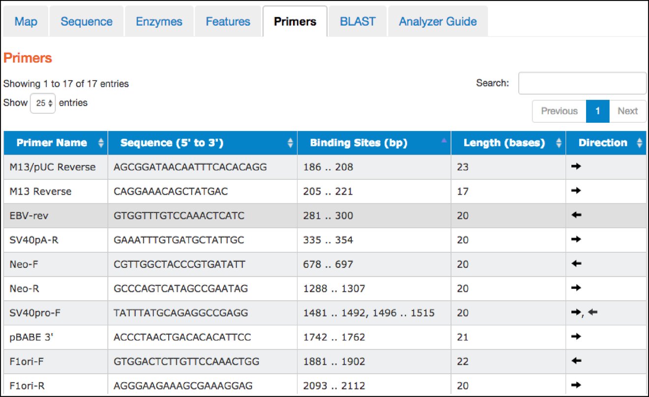 Improved Plasmid Maps Powered by SnapGene