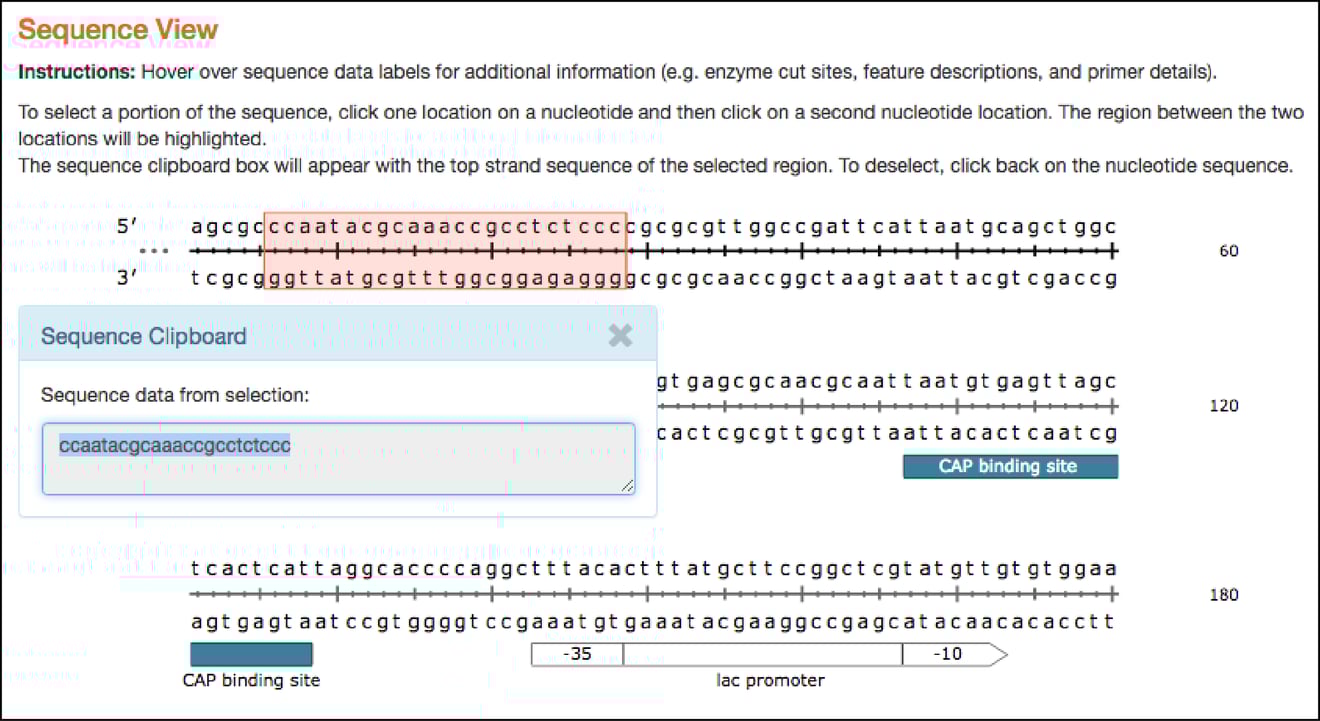 Improved Plasmid Maps Powered by SnapGene