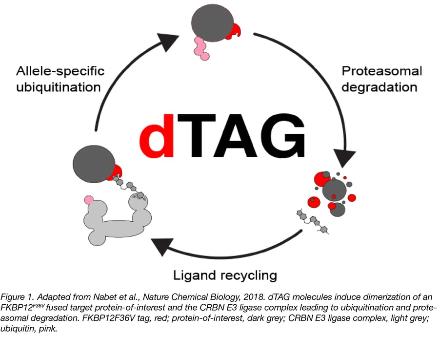 dTAG - You're it!