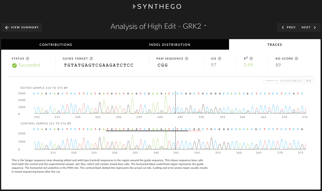 Analyzing CRISPR Editing Results with ICE from Synthego