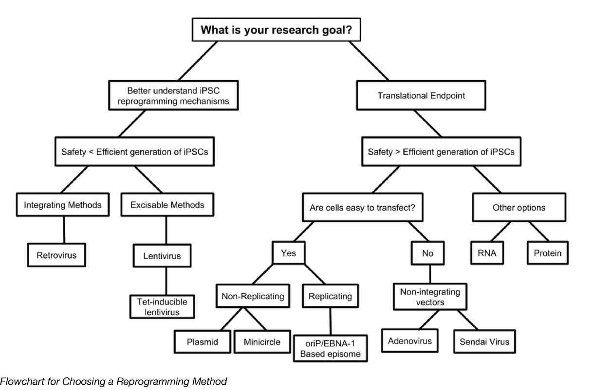 Delivery Methods for Generating iPSCs