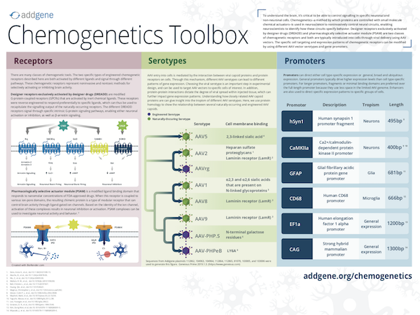 Viral Vectors 101: Chemogenetics