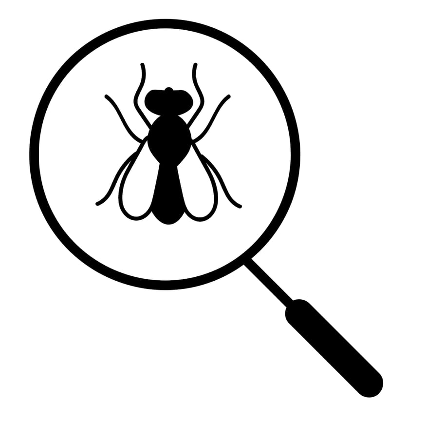 Quick Guide to Working with Drosophila Part 1: Getting Started with Flies