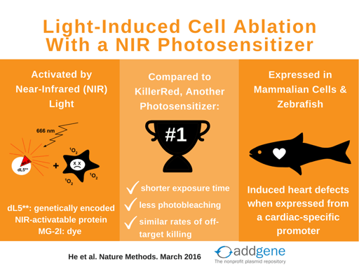 Photosensitizer Induced Cell Ablation with FAP-TAP MG-2I-dL5**