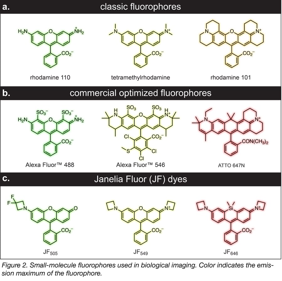 Better Dyeing Through Chemistry & Small Molecule Fluorophores