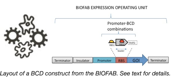 Multiple Plasmids at a Low Price: Kits from Addgene
