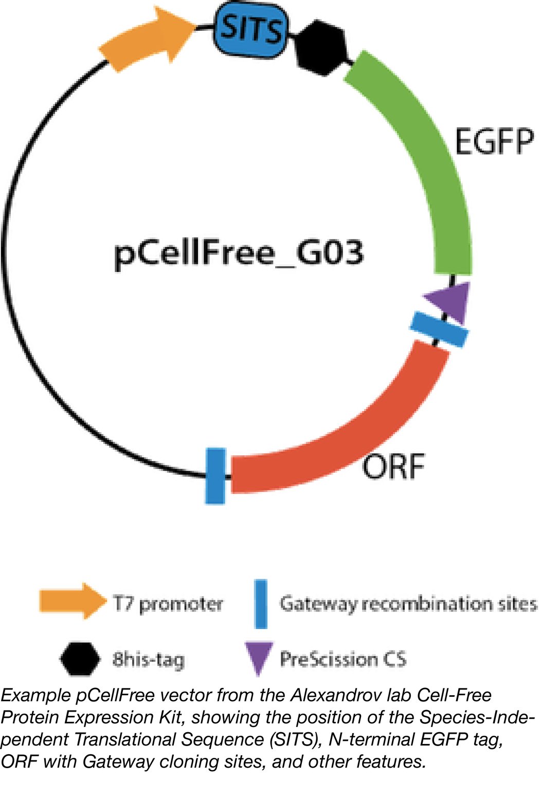 Multiple Plasmids at a Low Price: Kits from Addgene