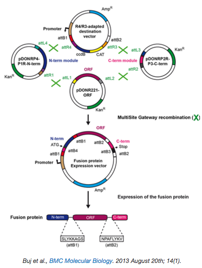 28 Hot Plasmid Technologies from 2015