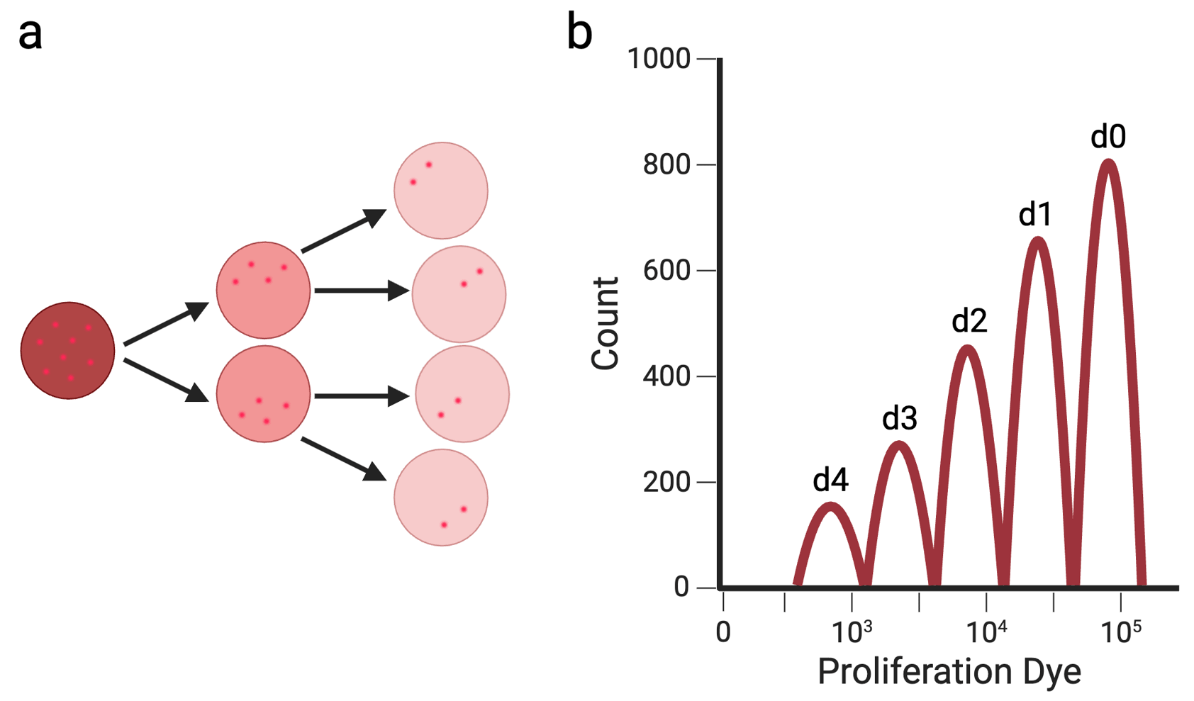 Antibodies 101: Beyond Surface Labeling