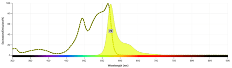 Antibodies 101: Designing Your First Flow Panel