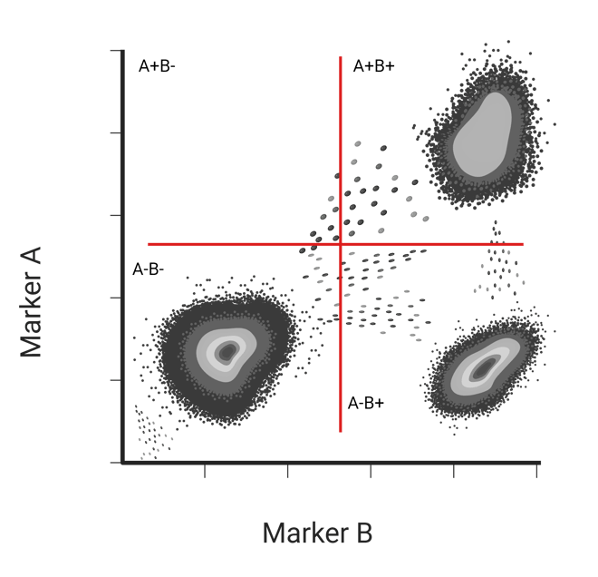 Antibodies 101: Reading a Flow Plot
