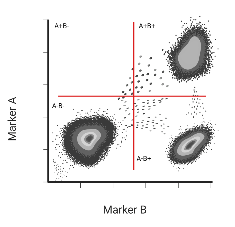 Antibodies 101: Reading a Flow Plot