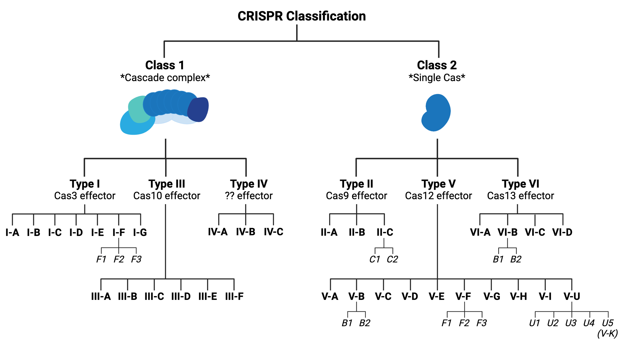 Typing CRISPR Systems