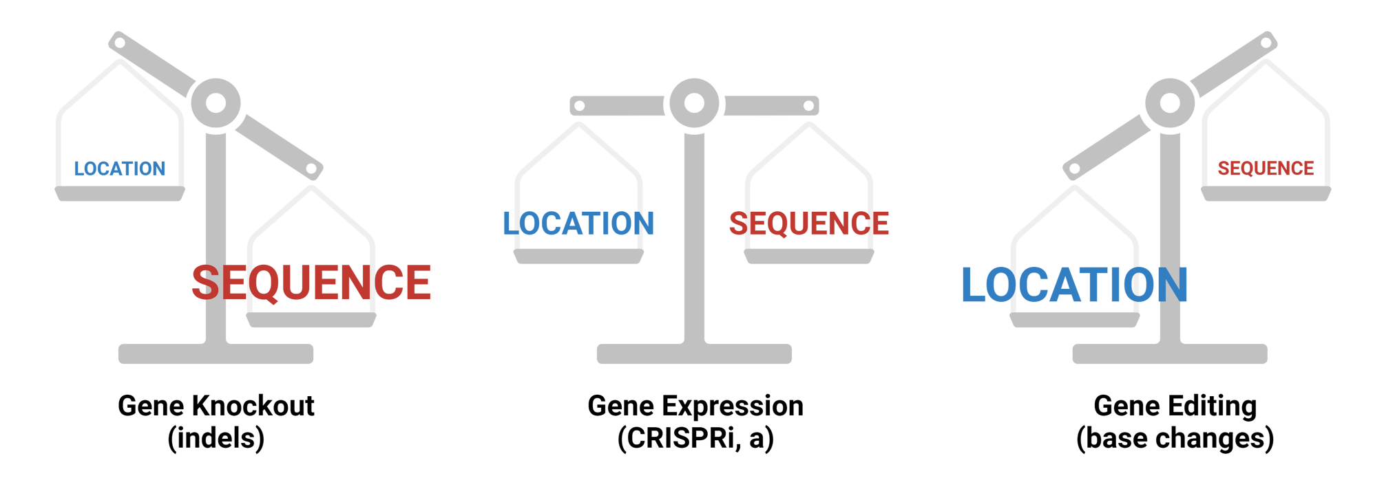How to Design Your gRNA for CRISPR Genome Editing