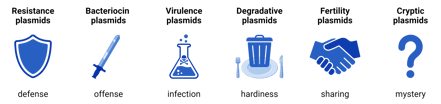 Plasmids 101: The Wide World of Natural Plasmids