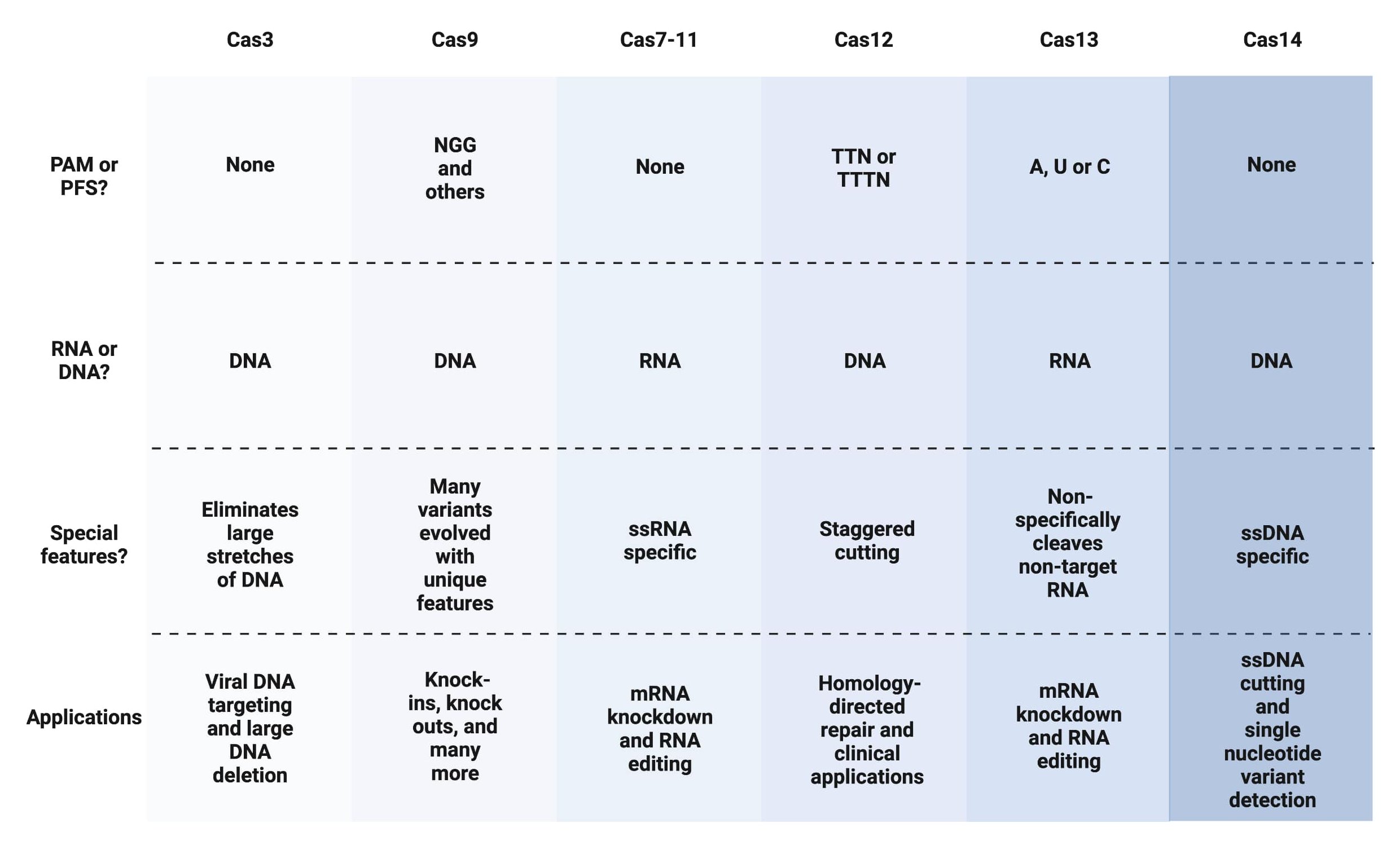CRISPR 101: Cas9 vs. The Other Cas(s)
