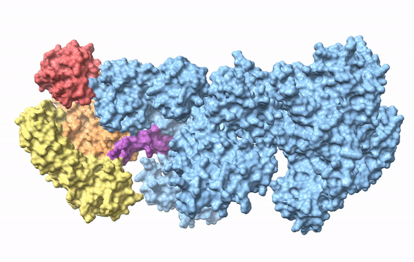 A Needle in a Base-Stack: Cas9 Structural Biology