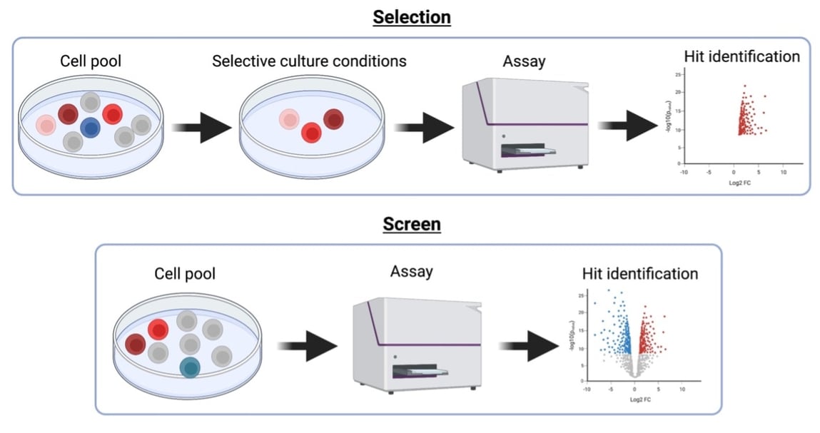 Plasmids 101: Screens vs. Selections